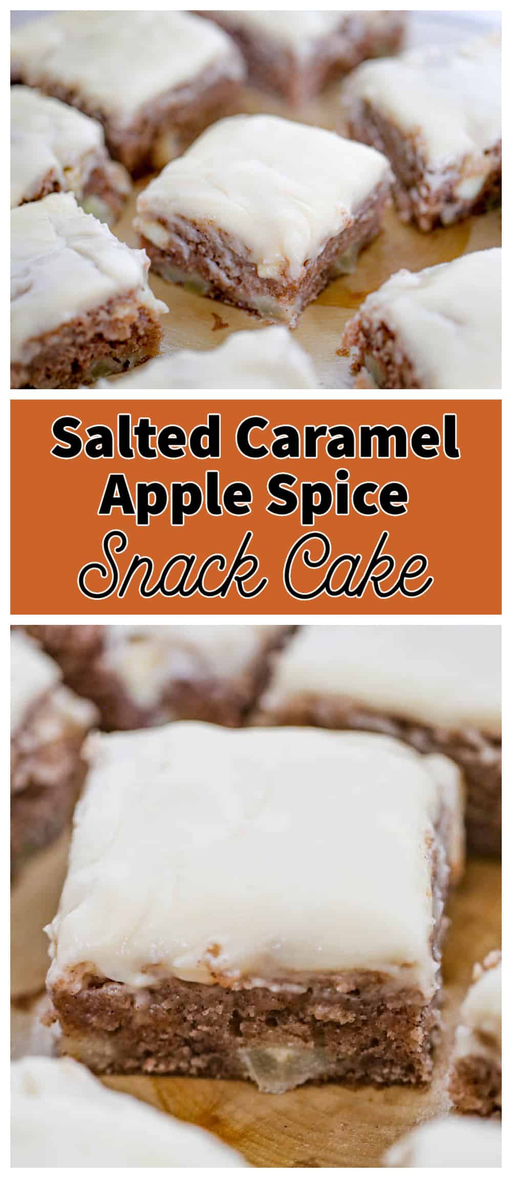 Apple Spice Snack Cake - The Baking ChocolaTess