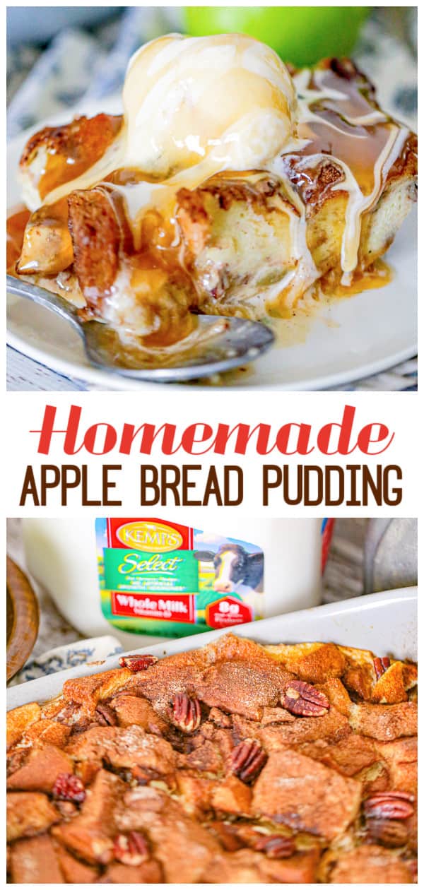 Easy Apple Bread Pudding - The Baking ChocolaTess