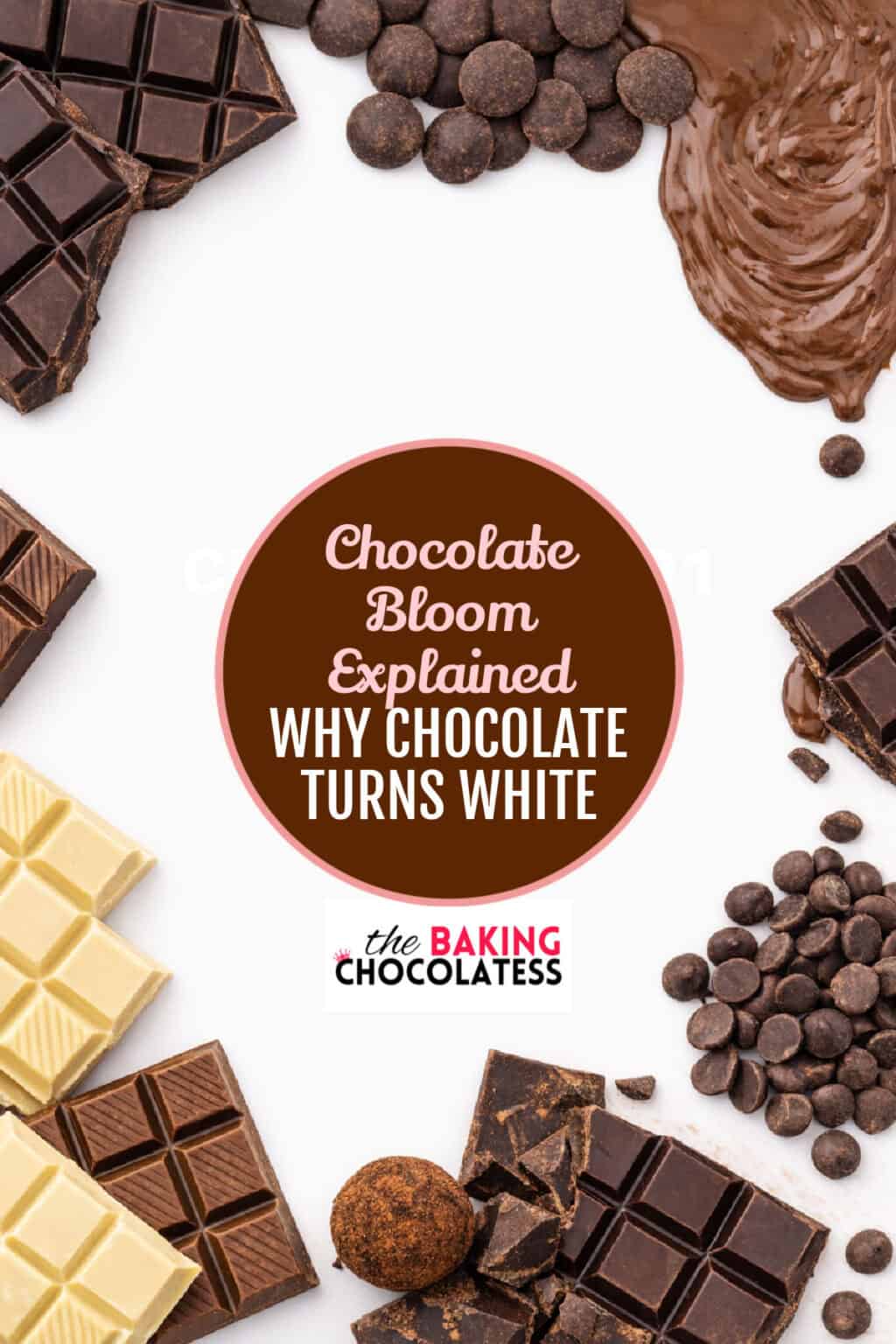 Chocolate Crunch Bars: Quick and Easy Recipe - The Baking ChocolaTess